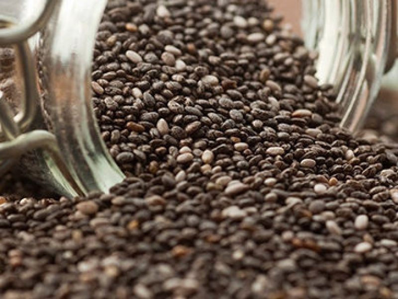 Sementes de chia: O poder nutritivo dos Maias