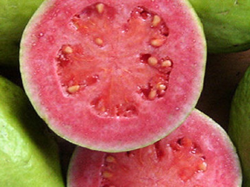 Goiaba: Os 1001 benefícios da fruta caribenha!